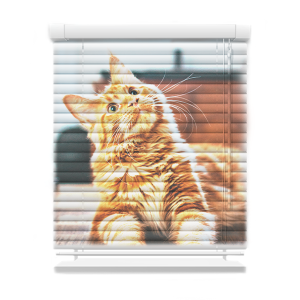 CUSTOM PRINT BLINDS - Fab and Dry