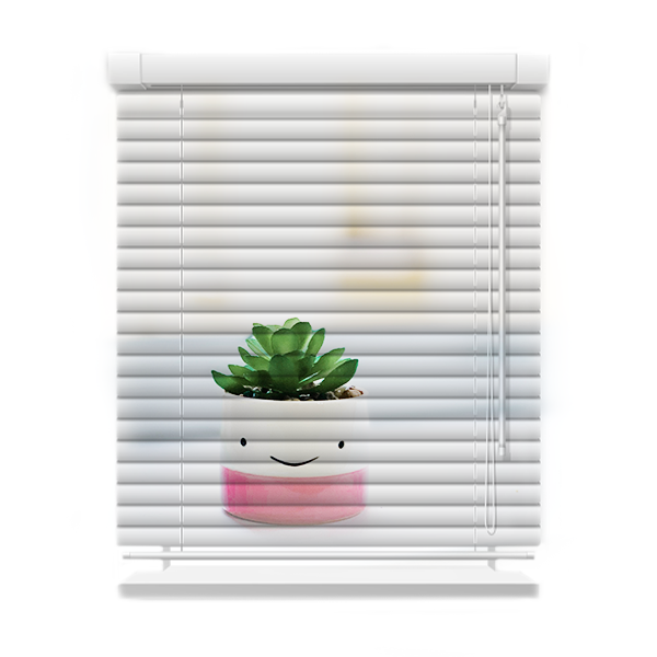 CUSTOM PRINT BLINDS - Fab and Dry